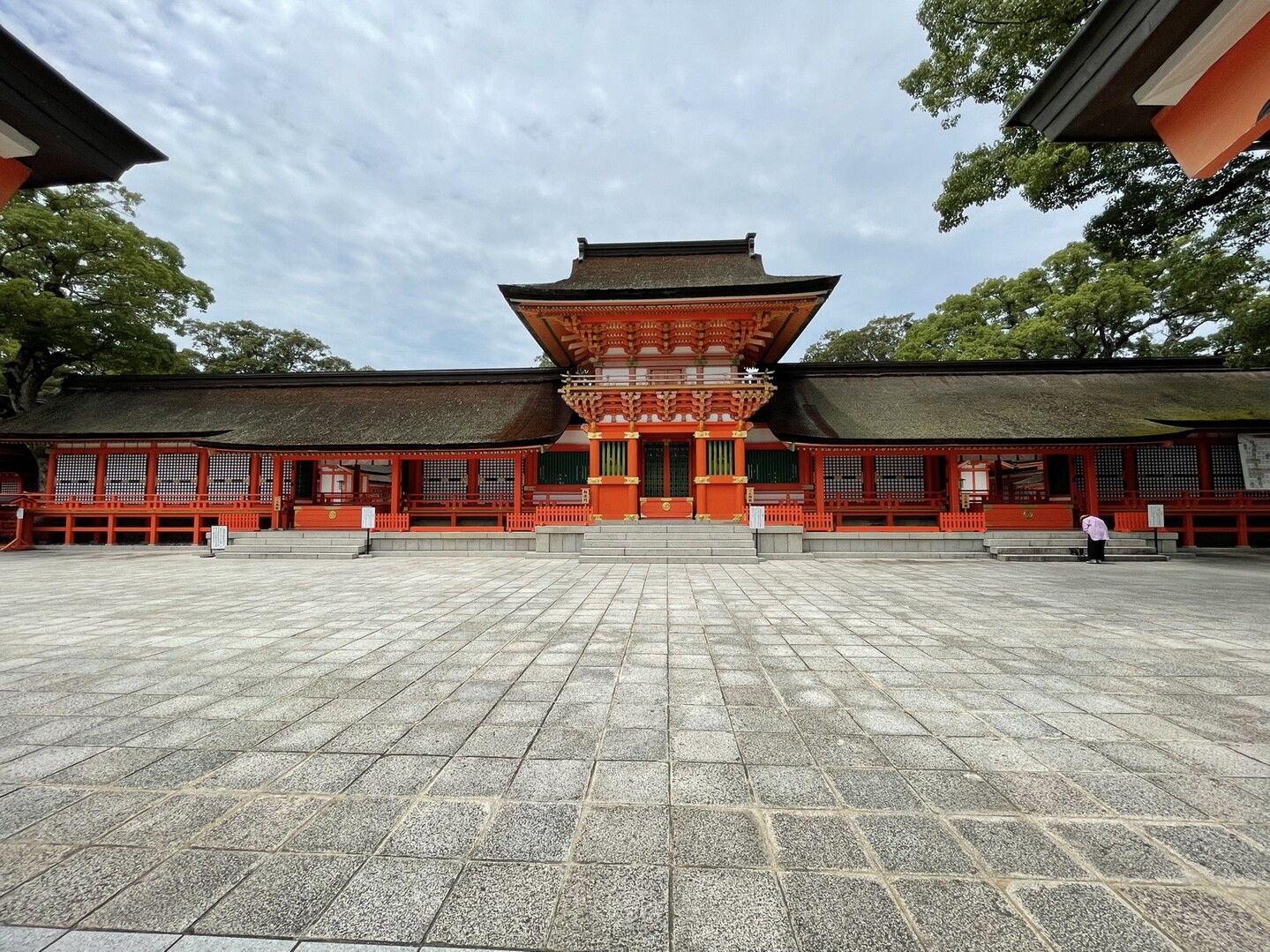 小椋山-2022/08 / Sue.TAさんの御許山・雲ヶ岳・米神山の活動データ | YAMAP / ヤマップ