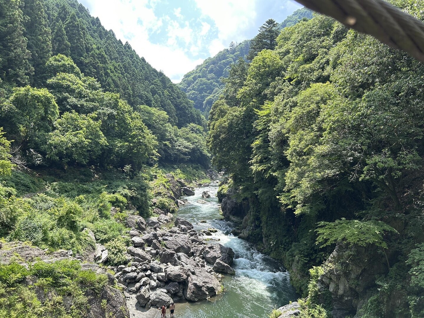 大多摩ウォーキングトレイル🚶-2023-07-10 / ☆miko☆さんの大岳山・御岳山・御前山の活動データ | YAMAP / ヤマップ