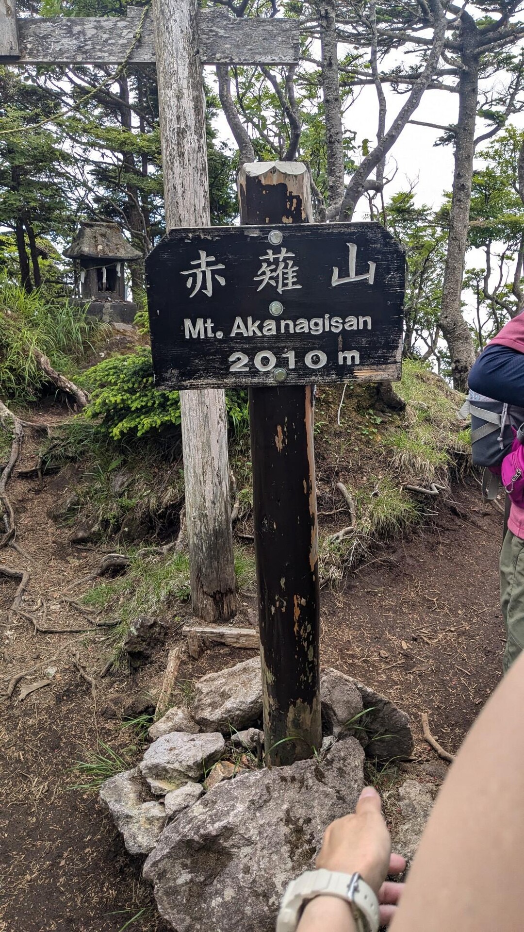 小丸山・赤薙山 / yumaさんの女峰山・赤薙山・大真名子山の活動データ | YAMAP / ヤマップ