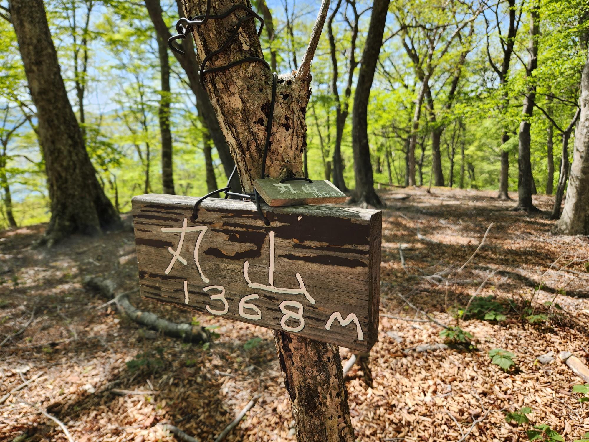 丸山 / pankoさんの男体山の活動データ | YAMAP / ヤマップ