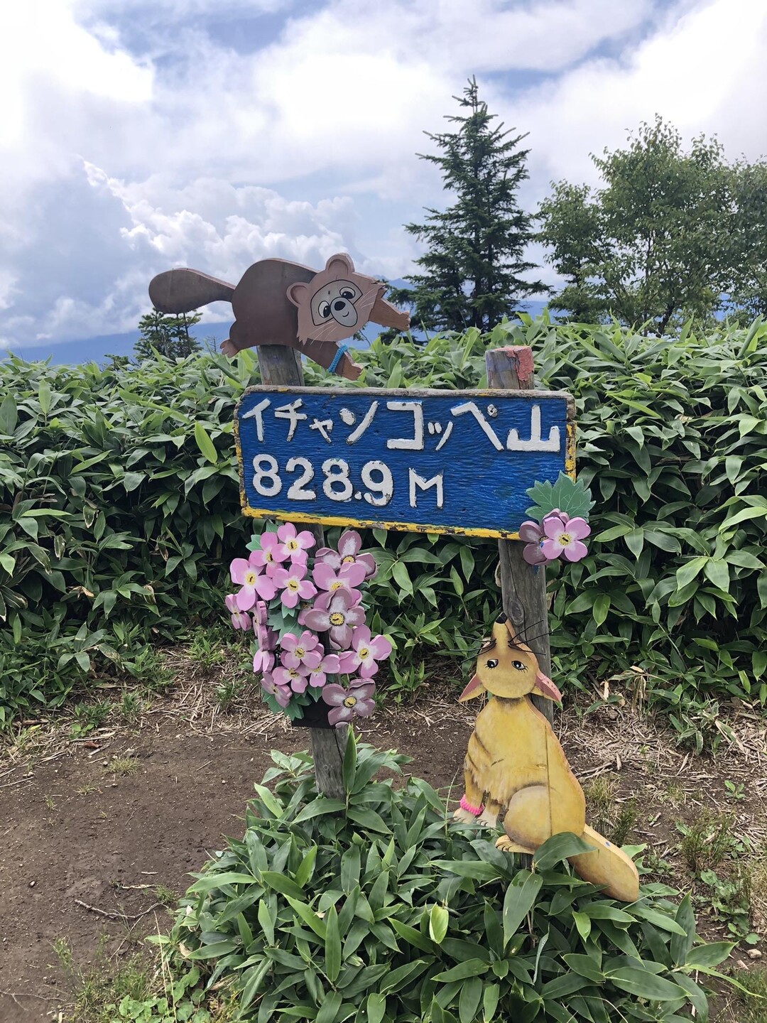 イチャンコッペ山 / Sayoさんのイチャンコッペ山の活動データ | YAMAP / ヤマップ