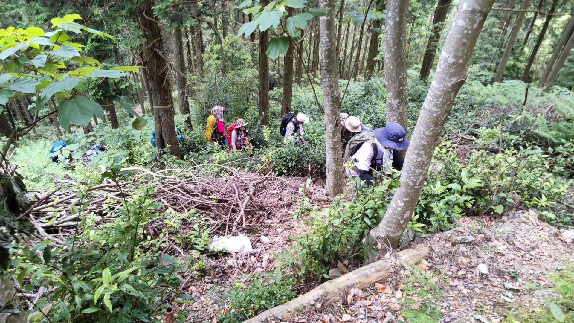 兜岳 / issaさんの八郎岳・松尾岳・熊ヶ峰の活動データ | YAMAP / ヤマップ