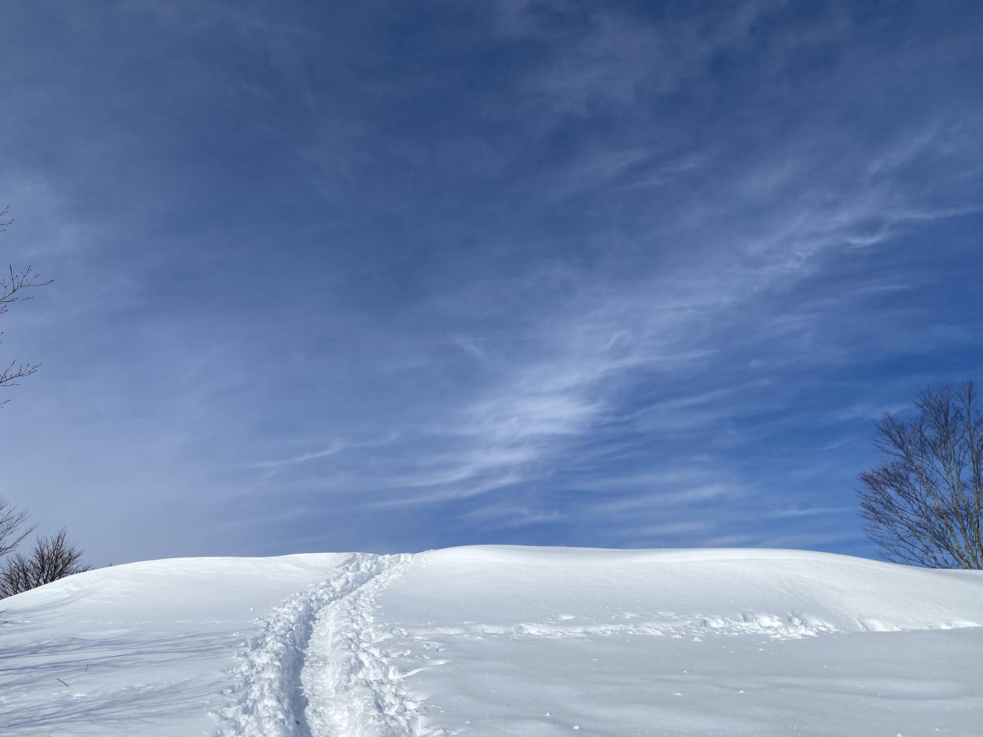 東根山 🐈 / arataさんの南昌山・東根山・箱ヶ森の活動データ | YAMAP / ヤマップ