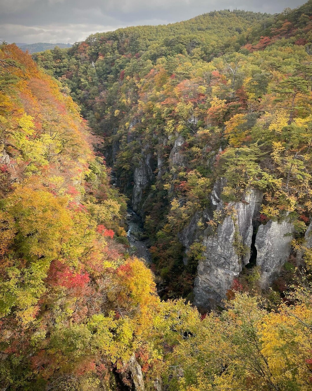 鳴子峡は紅葉が見頃でした。朝活🚙 / mochiさんのモーメント | YAMAP / ヤマップ