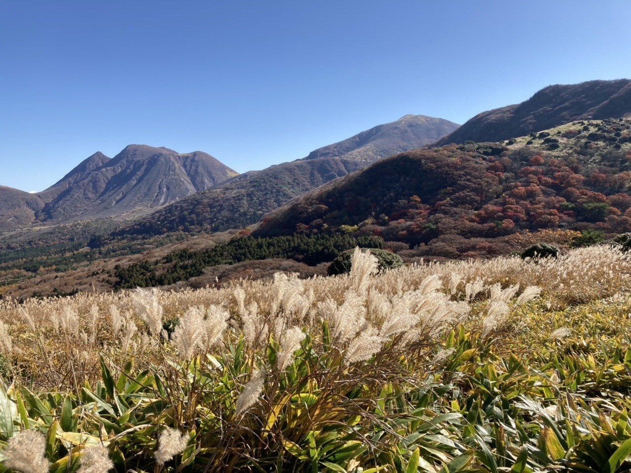 紅葉が綺麗だった / Miniさんの九重山（久住山）・大船山・星生山の活動データ | YAMAP / ヤマップ
