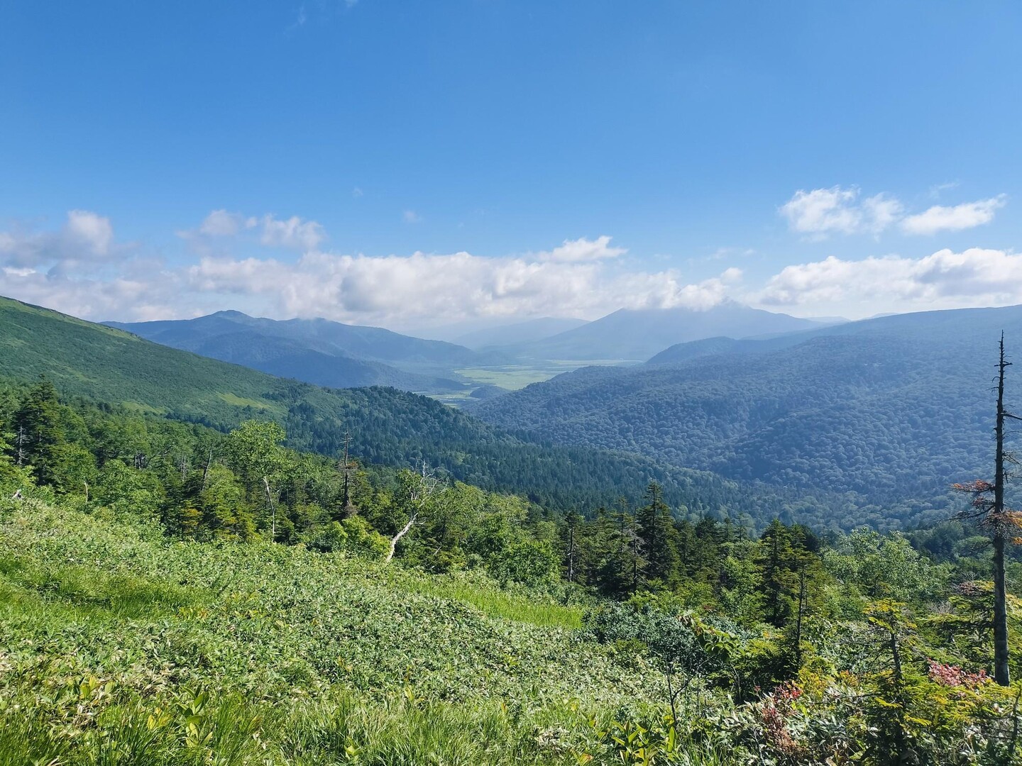 ぐんま百名山 笠ヶ岳 / kooさんの尾瀬・燧ヶ岳の活動データ | YAMAP / ヤマップ