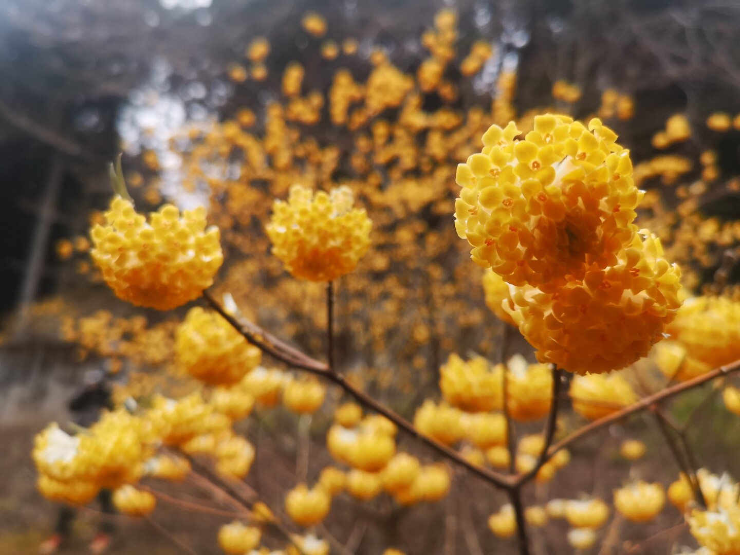 今週はお疲れ気味だったので、不動尻へミツ... / capetaさんのモーメント | YAMAP / ヤマップ