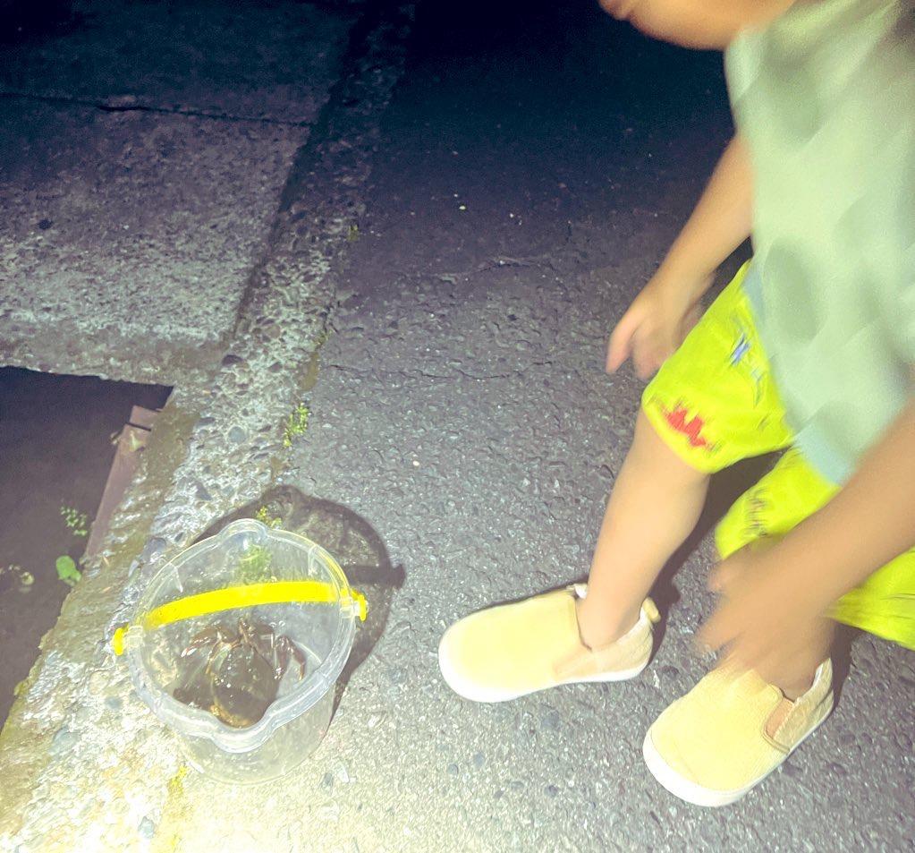 夜の散歩中にモクズガニがいたので子供が持... / ryunosukeさんのモーメント | YAMAP / ヤマップ