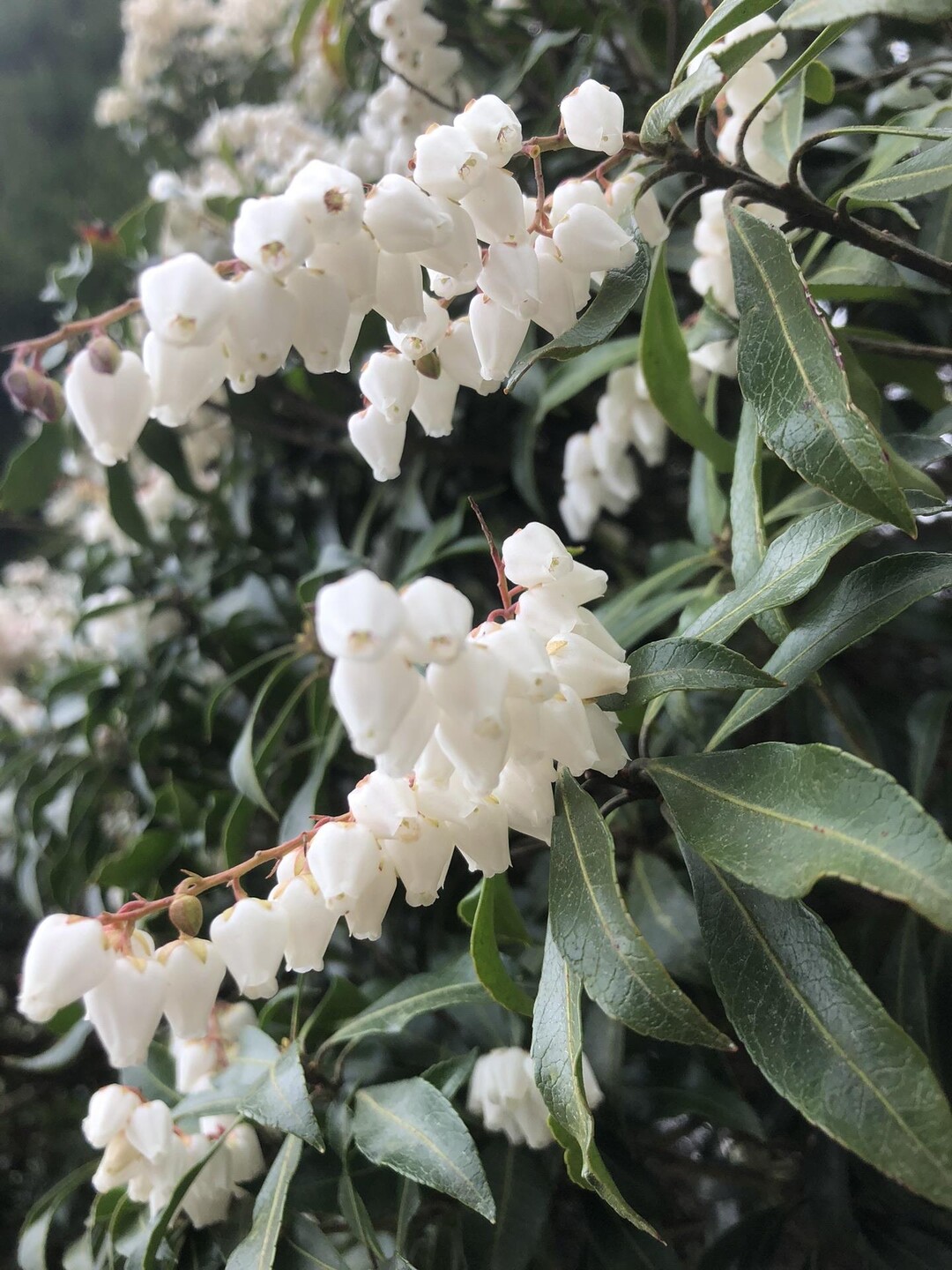 ’23-No39 万年山 / トカロさんの万年山・伐株山の活動データ | YAMAP / ヤマップ