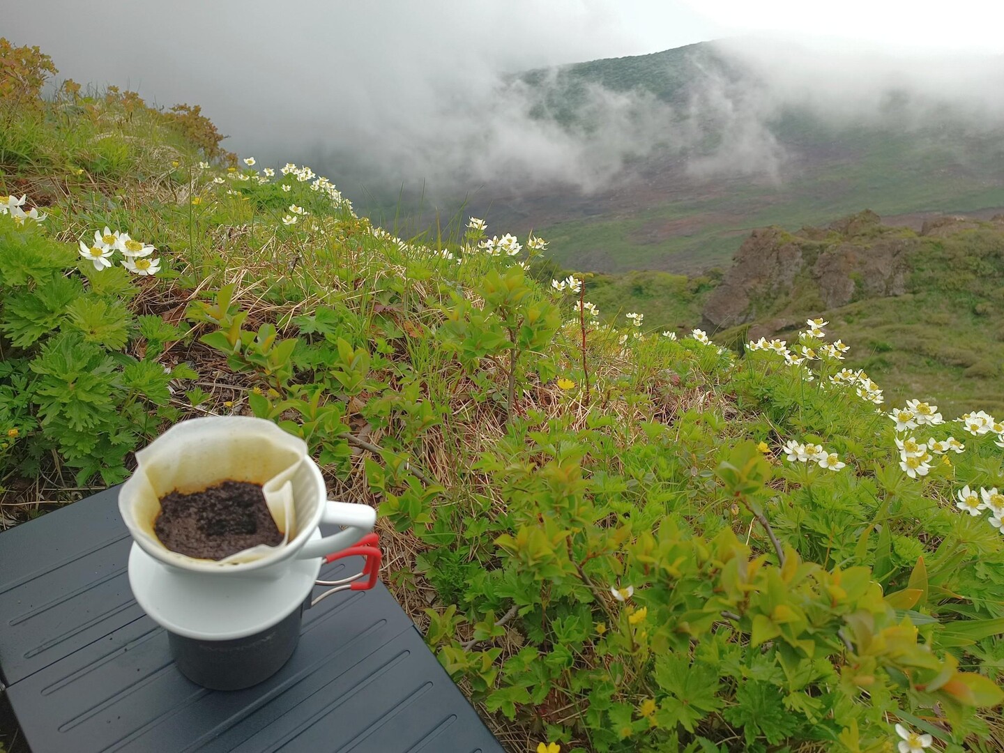 不忘山（御前岳）2024-6-1 / Nozomiさんの蔵王山・雁戸山・不忘山の活動データ | YAMAP / ヤマップ