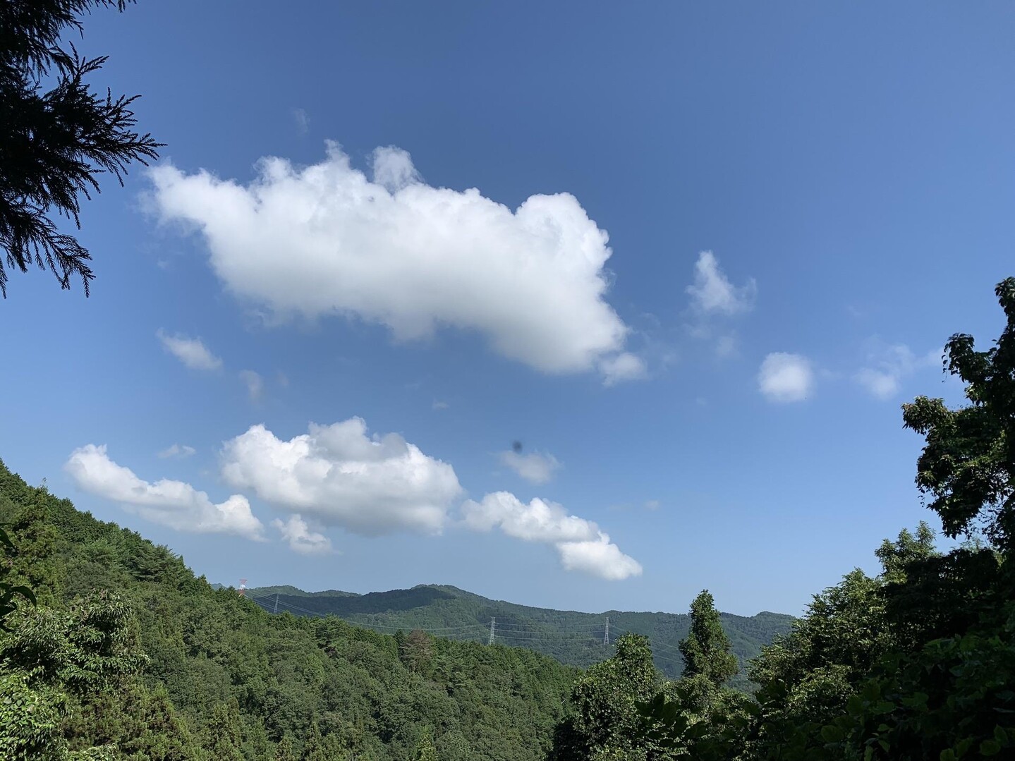 遅めのお散歩😅 暑すぎました🥵 汗だ... / seekaさんのモーメント | YAMAP / ヤマップ