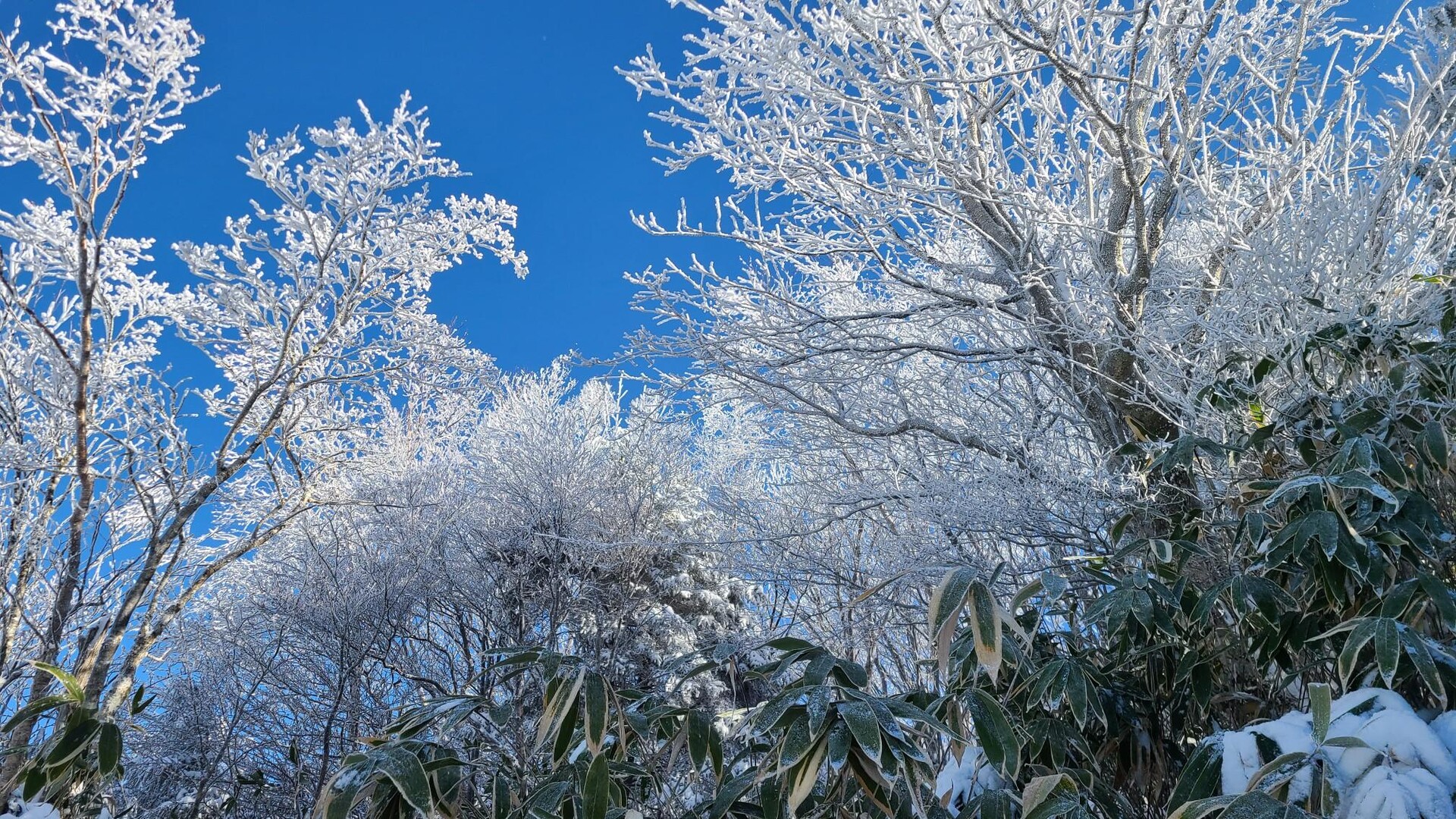 恵那山(前宮) / ym5shinさんの恵那山・大判山・神坂山の活動データ | YAMAP / ヤマップ
