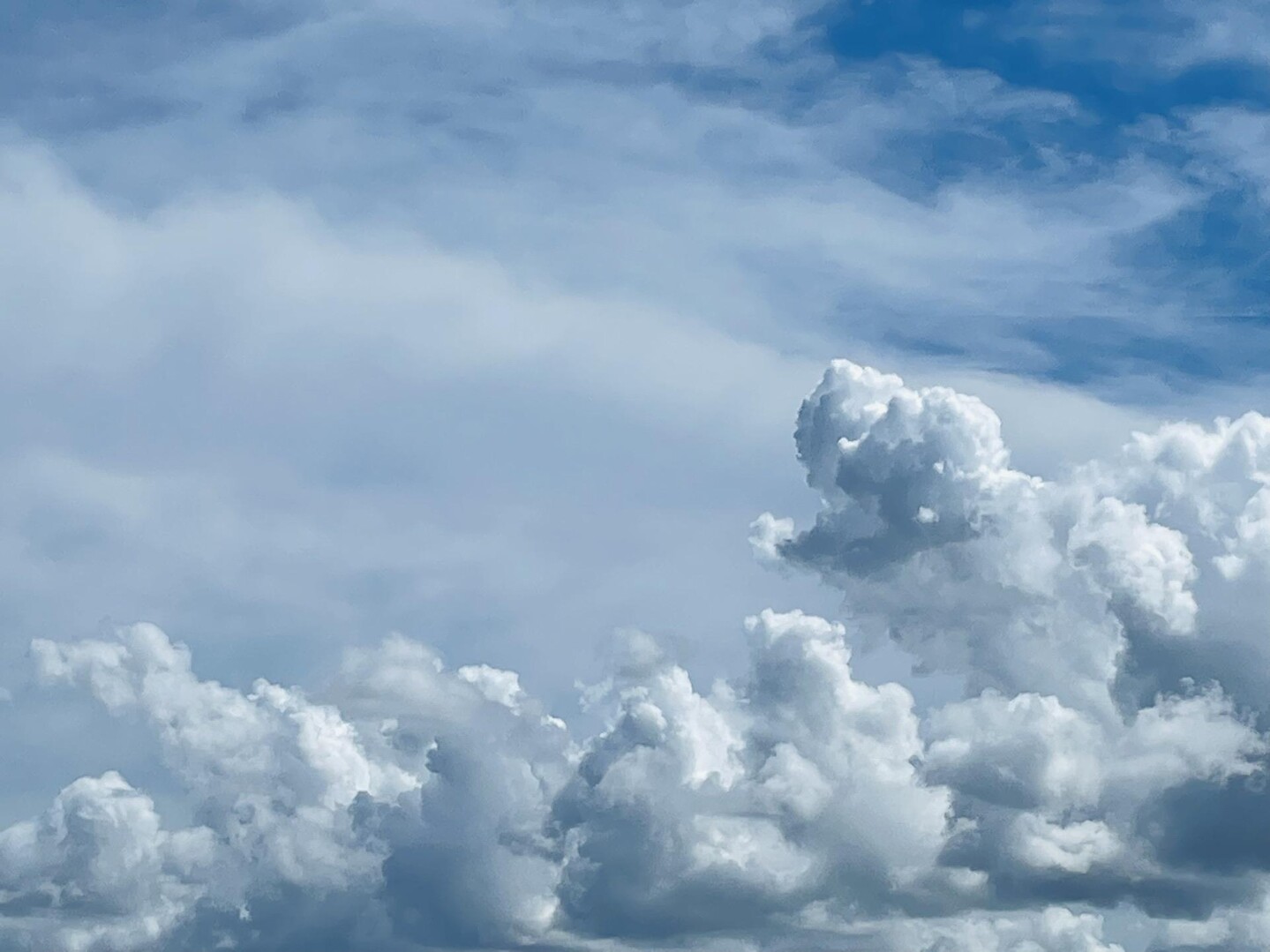 久しぶりに山へ行こうと思ったら 寝坊して... / lulu さんのモーメント | YAMAP / ヤマップ