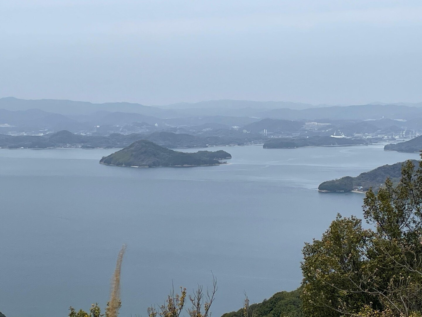 鳶ガ巣山・王城・切石山・釜戸山 / のぶさんの鳶ガ巣山・王城の活動データ | YAMAP / ヤマップ