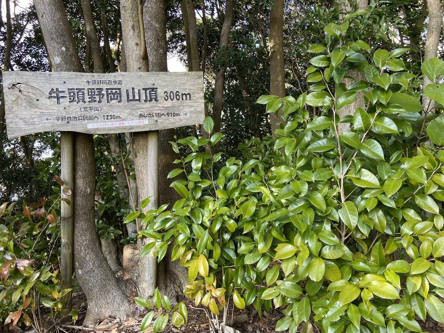 牛頭野岡 / tomomiさんの牛頭野岡の活動データ | YAMAP / ヤマップ