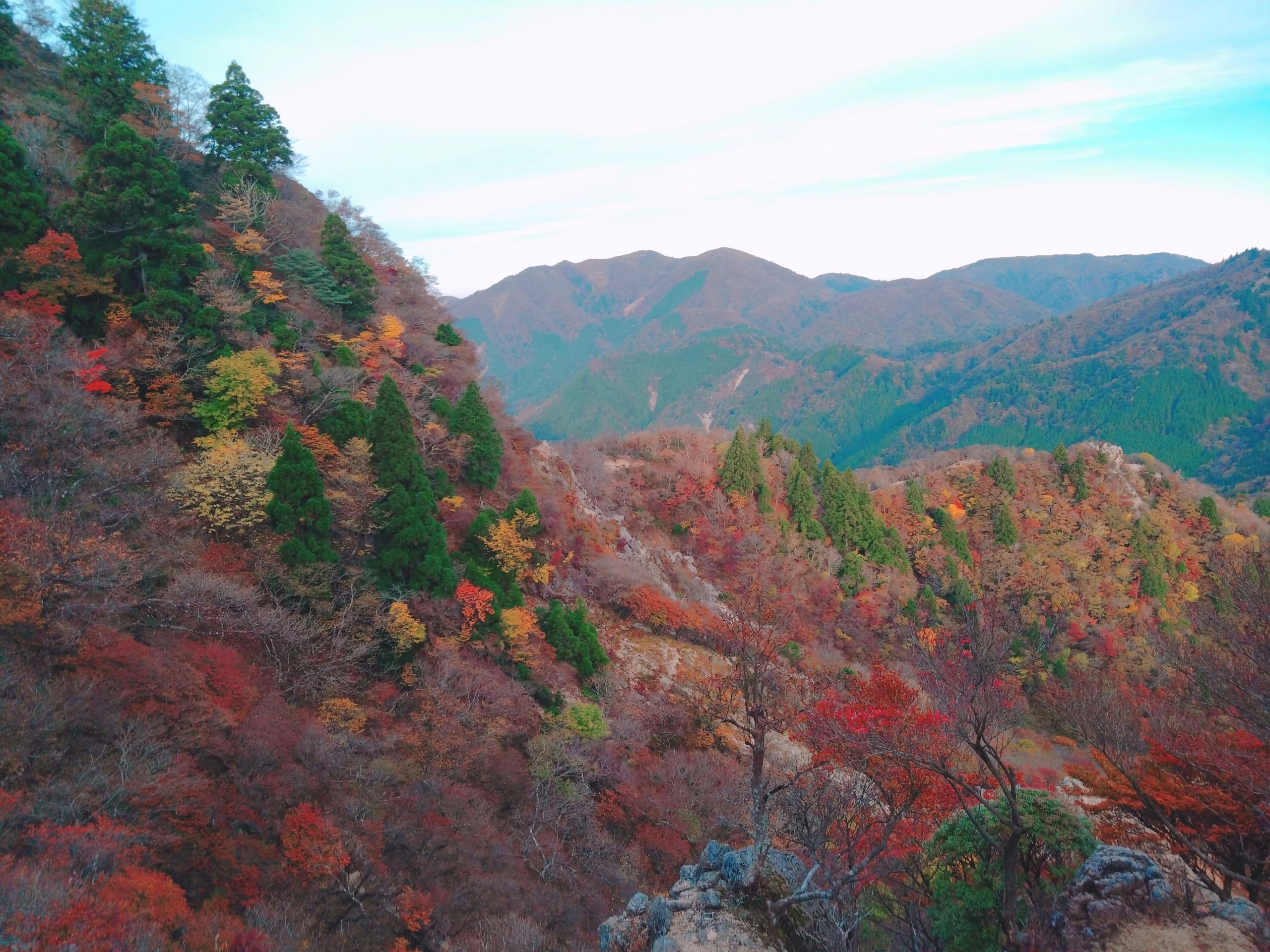 鎌ヶ岳紅葉観察🍁【⇧県境稜線⇩長石尾根三ツ口谷】 / ツカッチさんの御在所岳（御在所山）・雨乞岳の活動日記 | YAMAP / ヤマップ