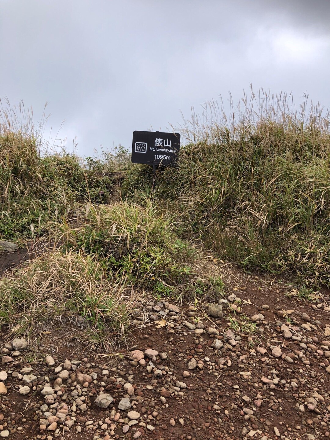 旨い蕎麦を食べたくてpart2 俵山 / Oh!Gmenさんの俵山・冠ヶ岳・清栄山の活動データ | YAMAP / ヤマップ