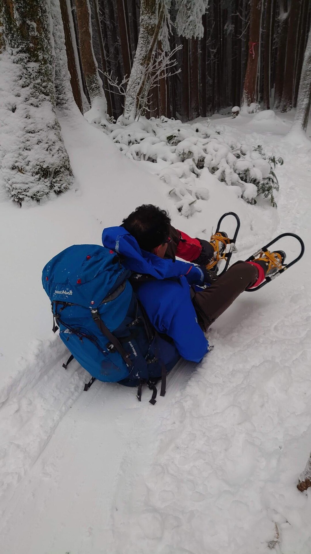 金剛山 細尾谷⤴文殊⤵ / PAGUさんの金剛山・二上山・大和葛城山の活動データ | YAMAP / ヤマップ