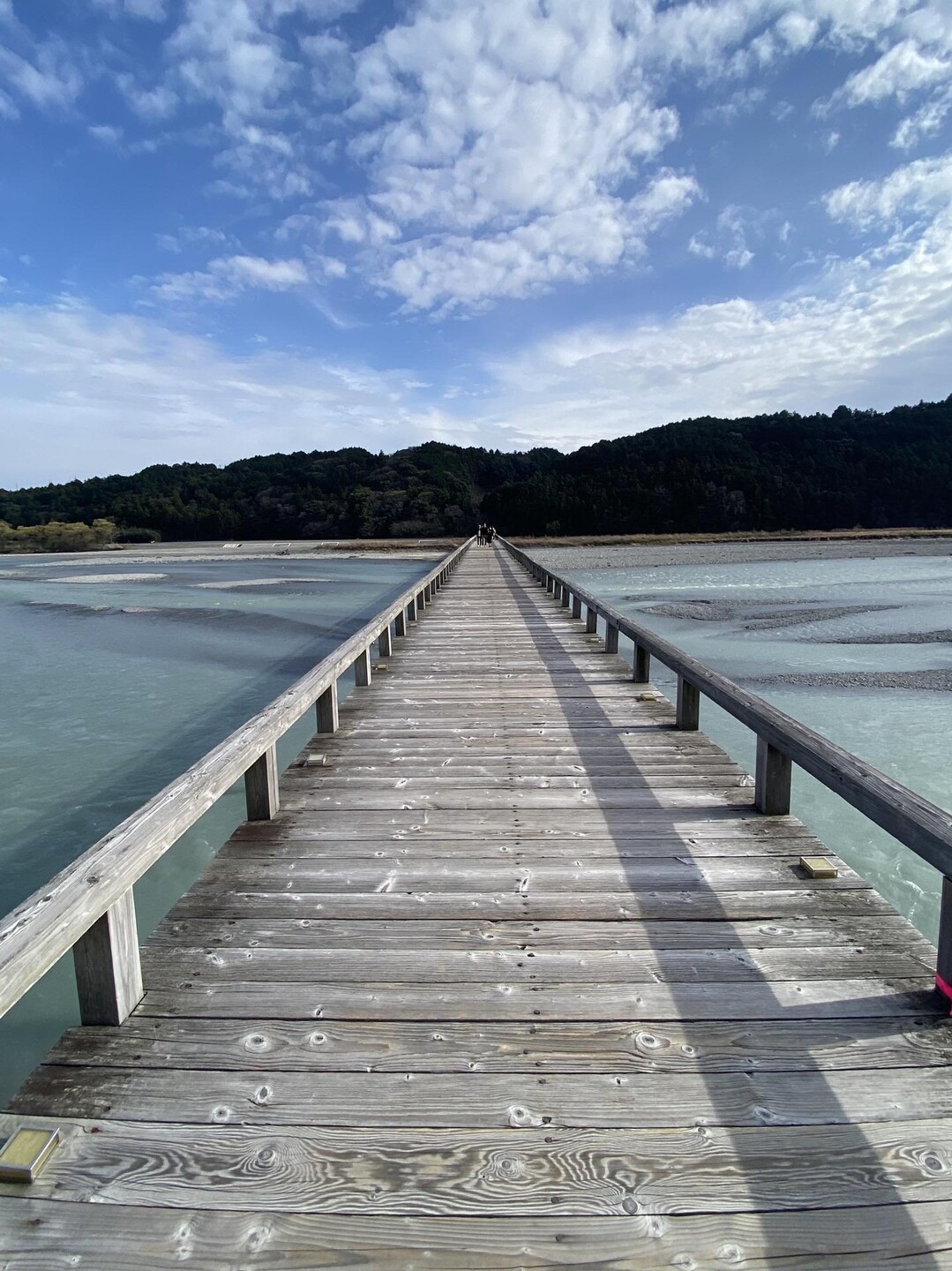 ③さらにもう1ピーク 熊野山 & 蓬莱橋 / MAYUMIさんの千葉山・白岩寺山の活動データ | YAMAP / ヤマップ