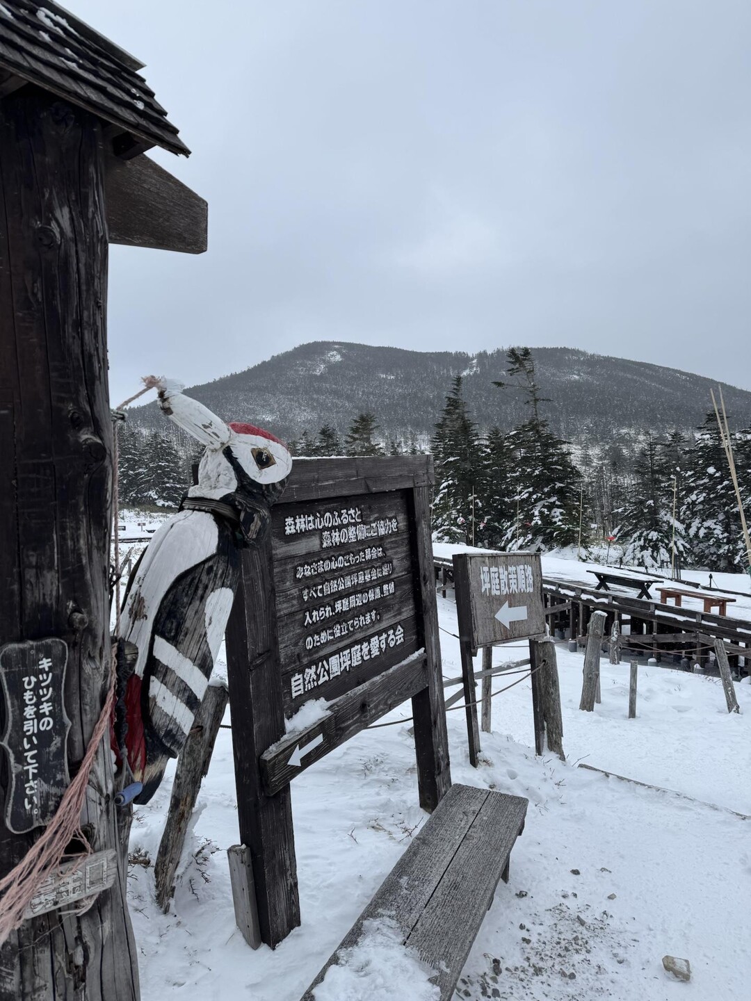 北横岳 / muugさんの蓼科山・横岳・縞枯山の活動データ | YAMAP / ヤマップ
