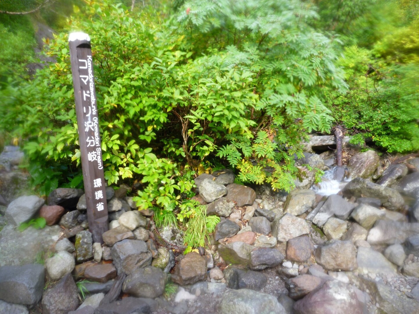 トムラウシ山2014 / あおさんのモーメント | YAMAP / ヤマップ