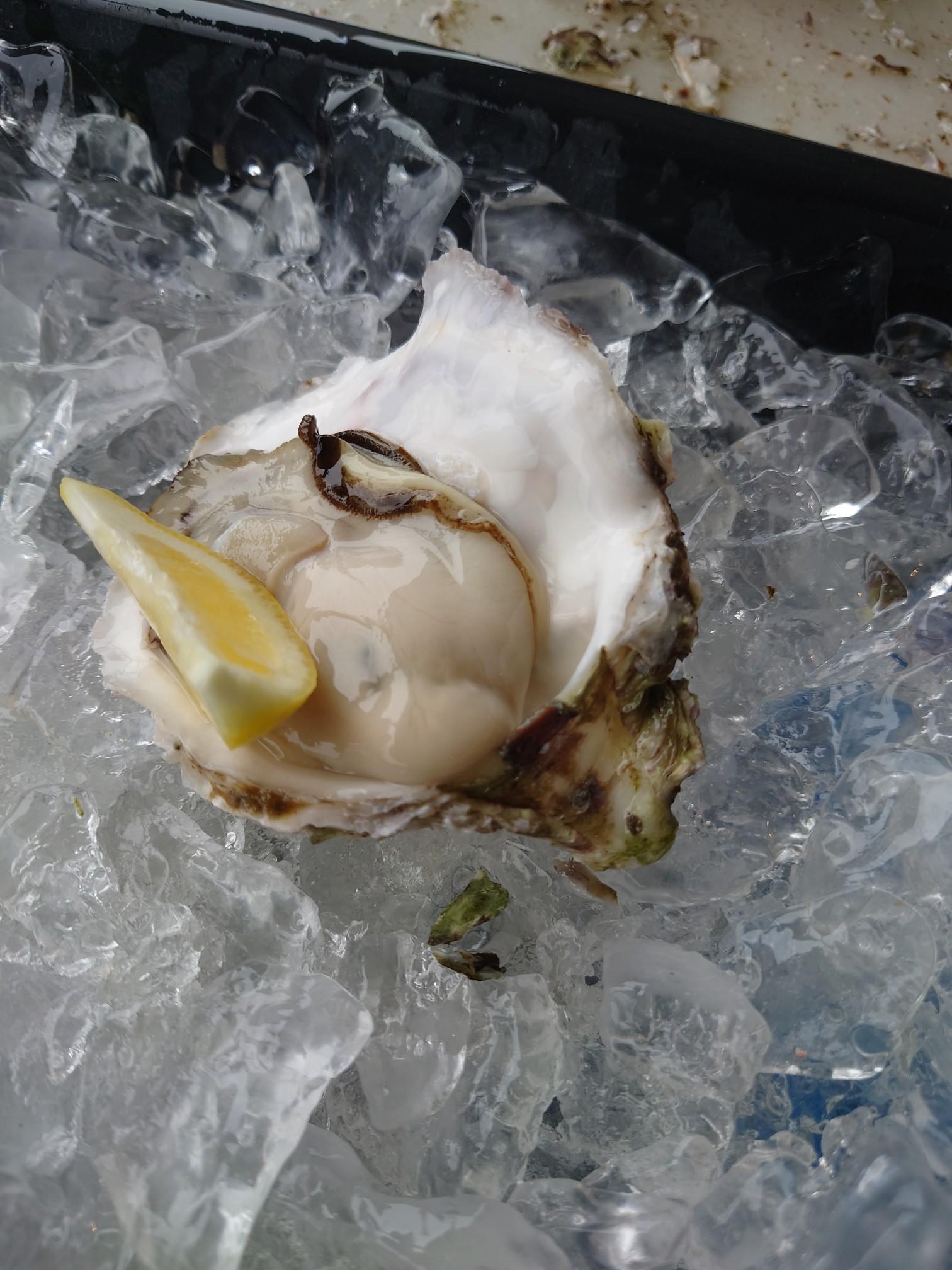 宿飯ドカ盛り過ぎてお腹パンパン 岩牡蠣、... / unaさんのモーメント | YAMAP / ヤマップ