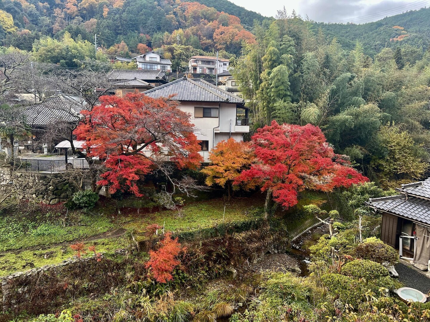 悩んだ末に紀見峠から⛰️ / moboさんの金剛山・二上山・大和葛城山の活動データ | YAMAP / ヤマップ