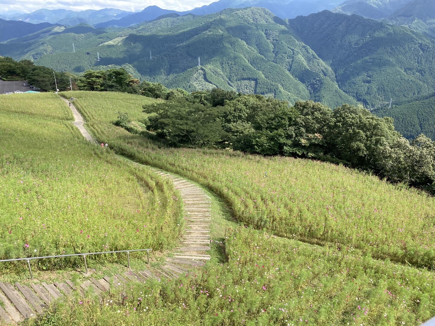 翠波峰 / ゆーりさんの赤星山・豊受山の活動データ | YAMAP / ヤマップ