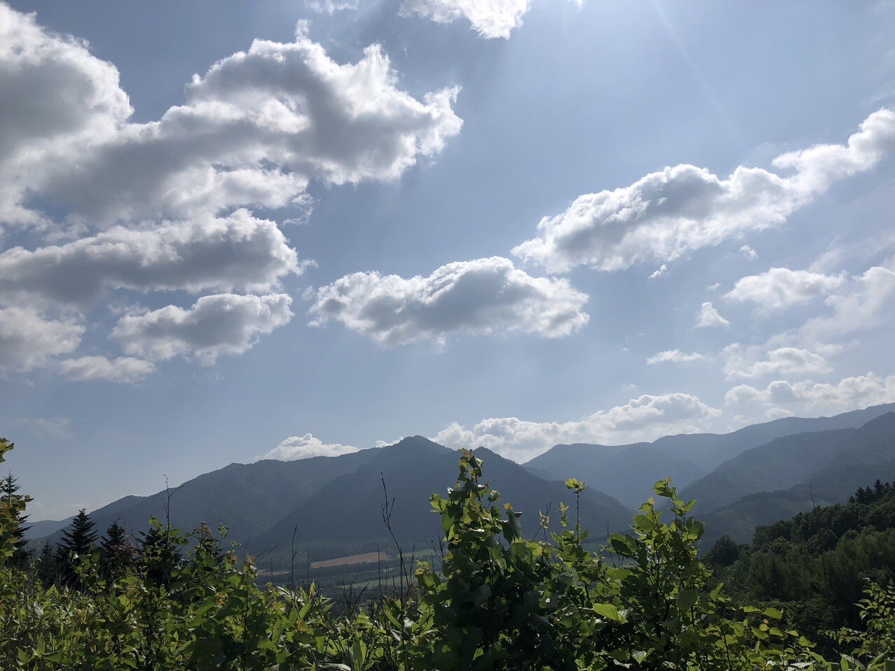 第7回大雪山トレイルジャーニー40k / SUGAさんの武利岳・武華山の活動データ | YAMAP / ヤマップ