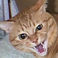 AKKIのページ | YAMAP / ヤマップ