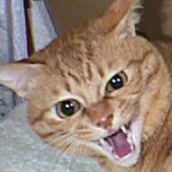 AKKIのページ | YAMAP / ヤマップ