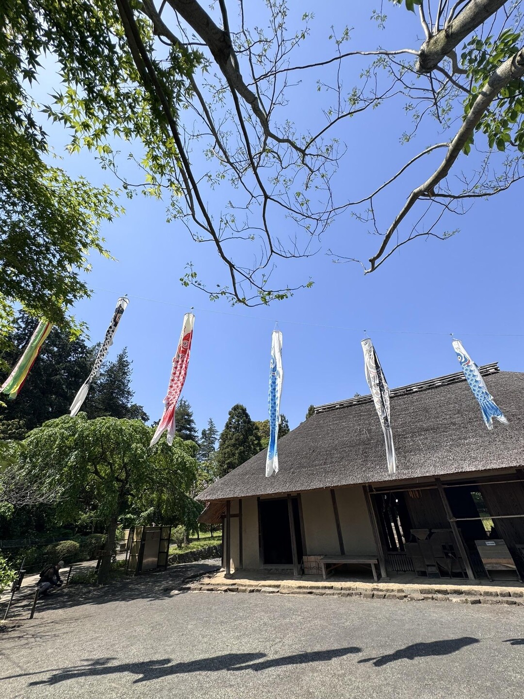 🌳泉の森公園🌳散策🚶 / m@riさんのウォーキングの活動データ | YAMAP / ヤマップ