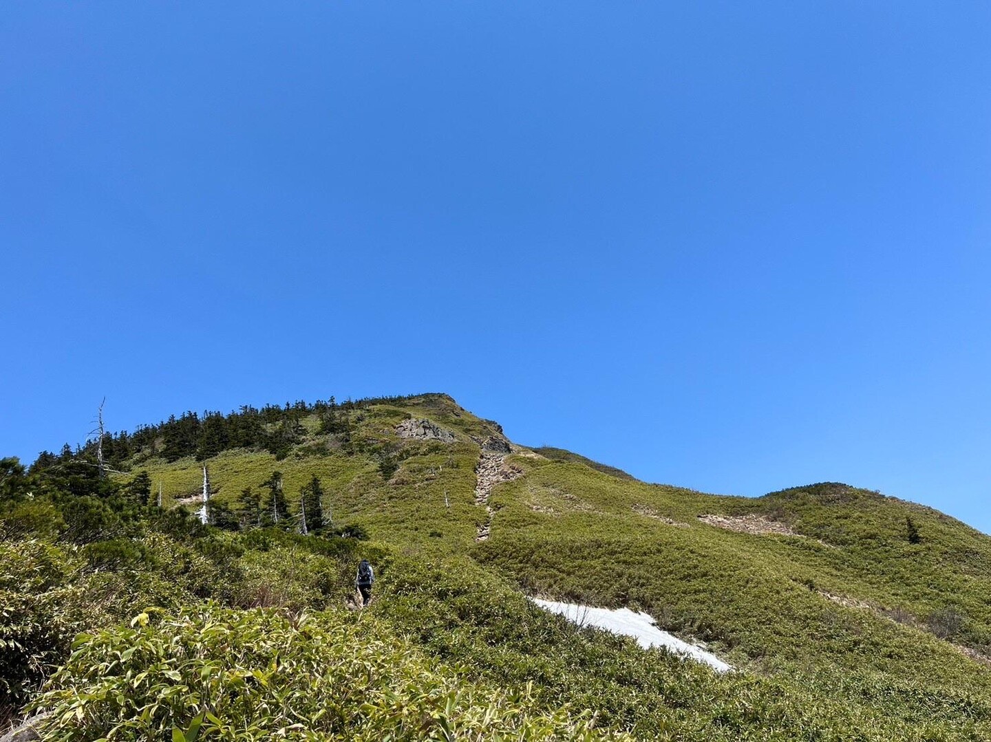 ＊残雪と春空の岩菅山＊ / sakoさんの岩菅山・寺小屋峰の活動データ | YAMAP / ヤマップ