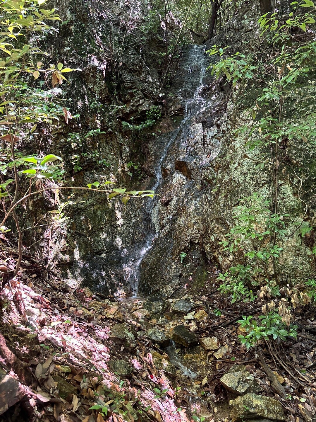 各務野自然遺産の森、大岩見晴台 / jinisanさんの各務原アルプス（関南アルプス）・八木三山の活動データ | YAMAP / ヤマップ