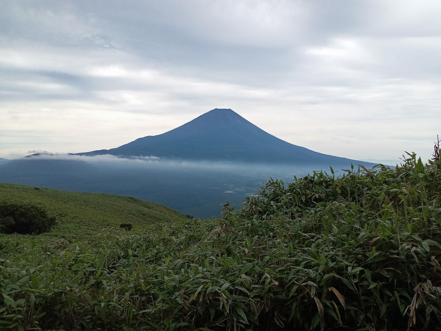 竜ヶ岳 / yuzoさんの毛無山・雨ヶ岳・竜ヶ岳の活動データ | YAMAP / ヤマップ