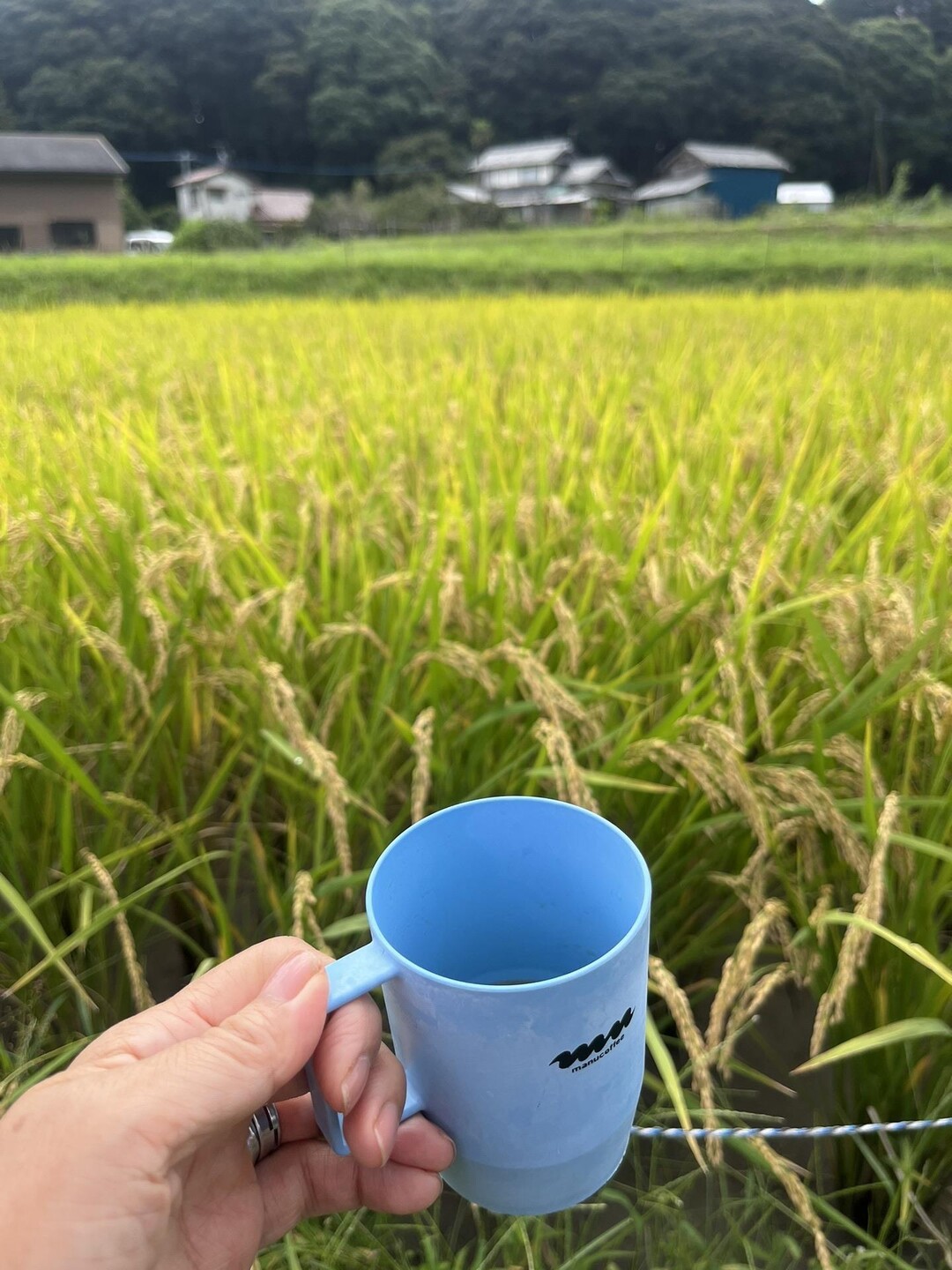 cafe妙見望☕️ / hiyoさんの油山・荒平山・片縄山の活動日記 | YAMAP / ヤマップ
