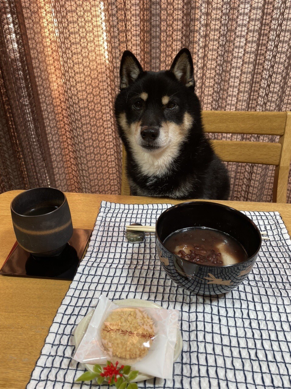 おぜんざい食べたーい🐾 / えみクロさんのモーメント | YAMAP / ヤマップ