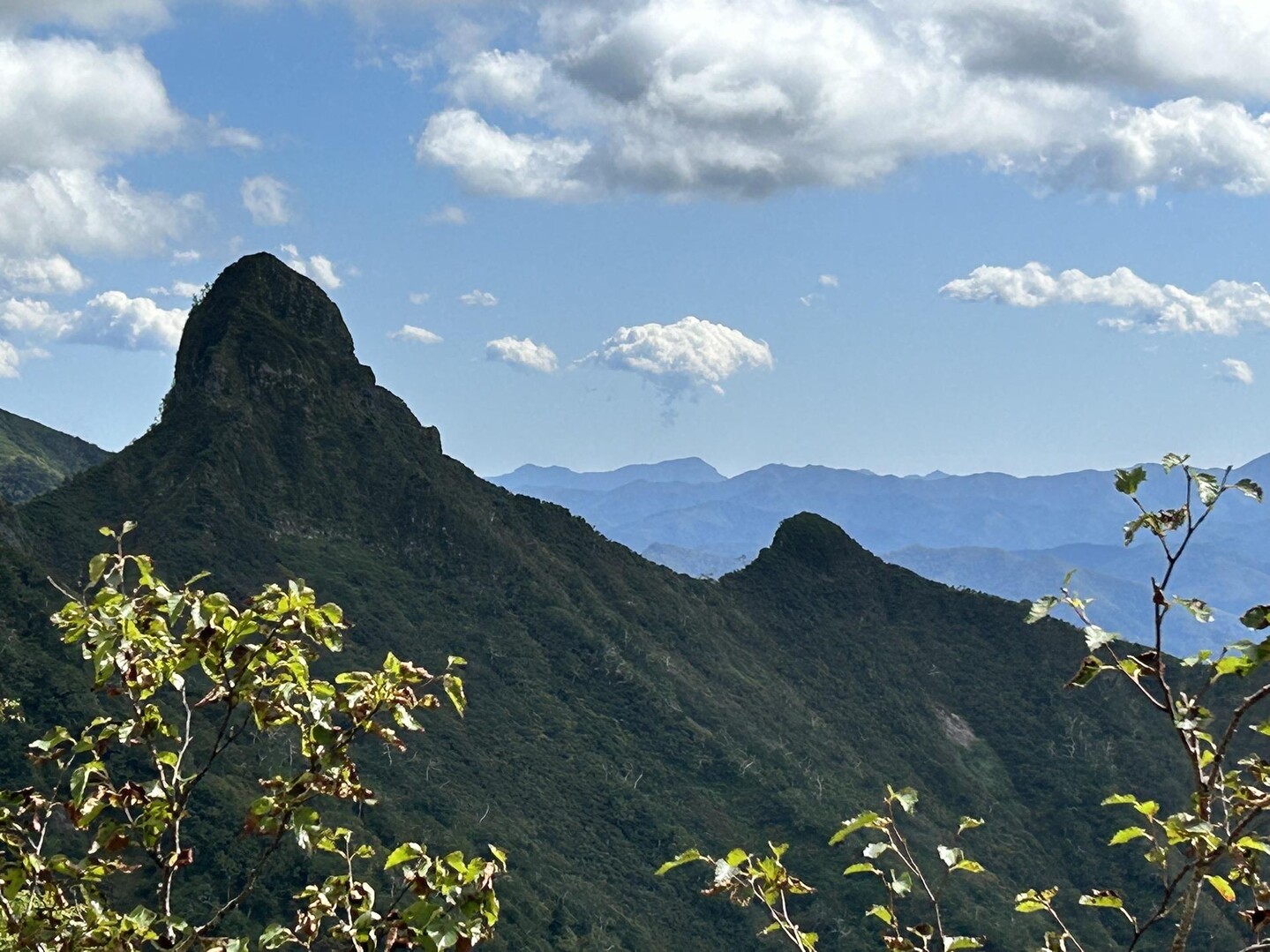 ニセイカウシュッペ山とアンギラス⛰️⛰️ / rucolaさんのニセイカウシュッペ山・平山・朝陽山の活動日記 | YAMAP / ヤマップ