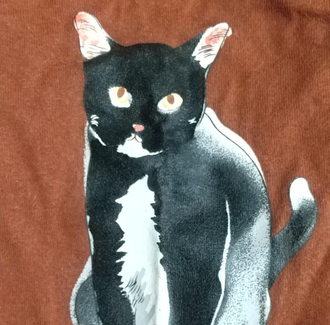 🔰 mochaのページ | YAMAP / ヤマップ