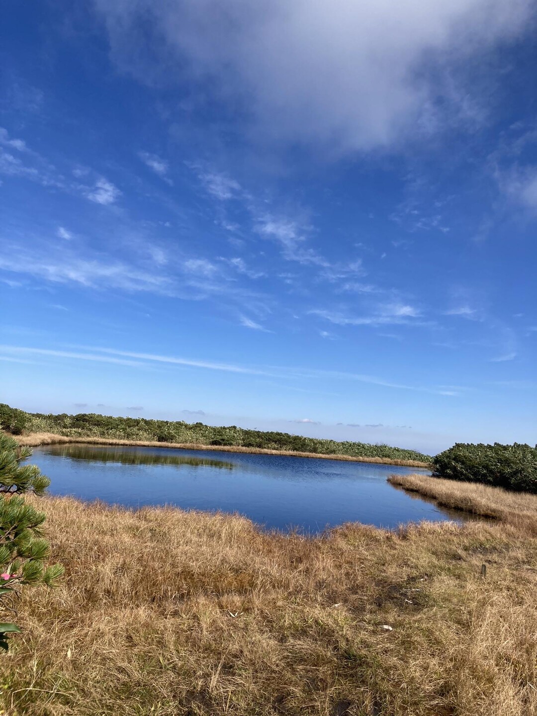 岩内岳・雷電山・前雷電山・中山（ワンウェイ） / yuyu さんの目国内岳・雷電山の活動日記 | YAMAP / ヤマップ