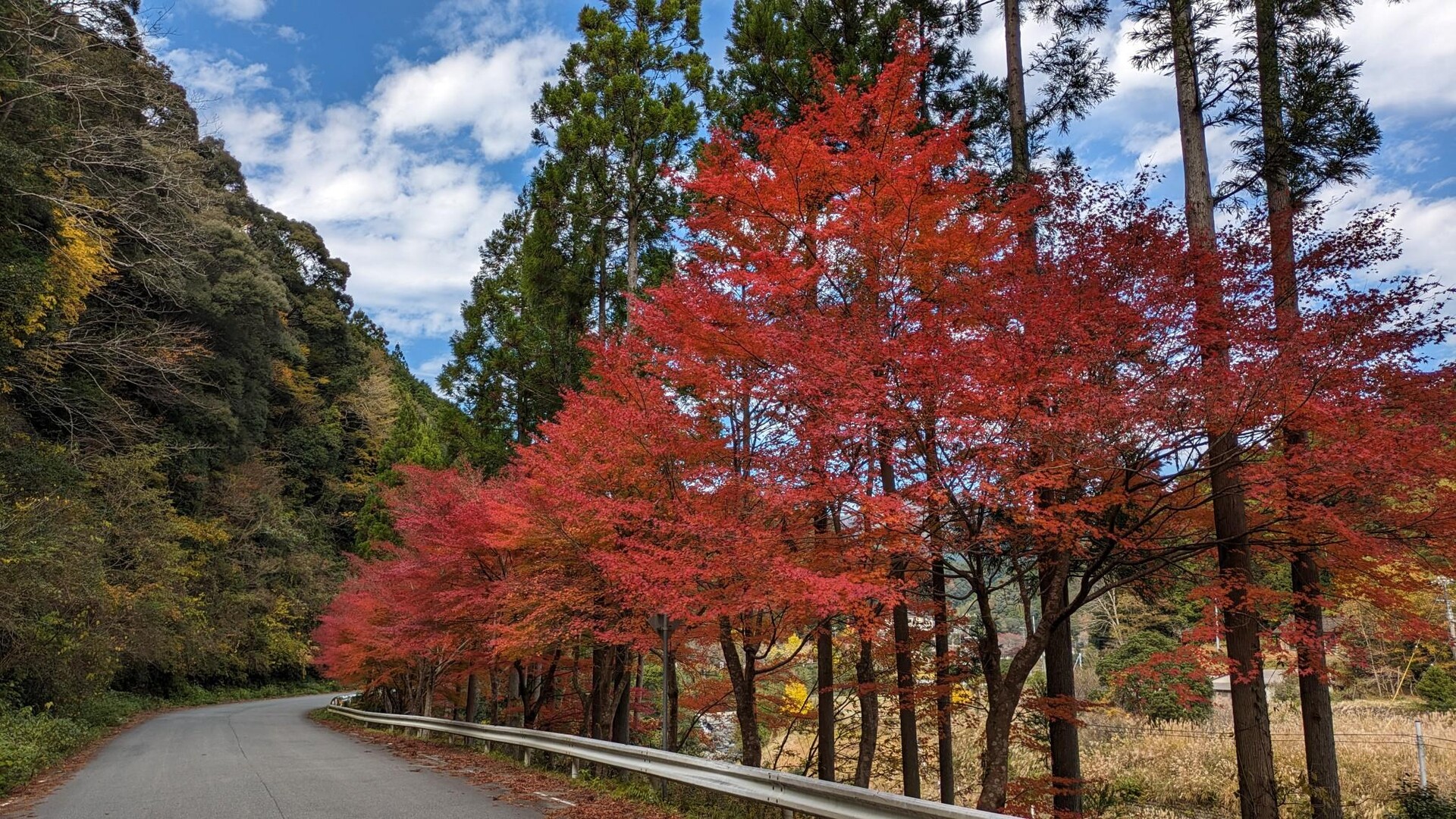 今日は朝から三重に買い出しドライヴ。 飯... / Agさんのモーメント | YAMAP / ヤマップ