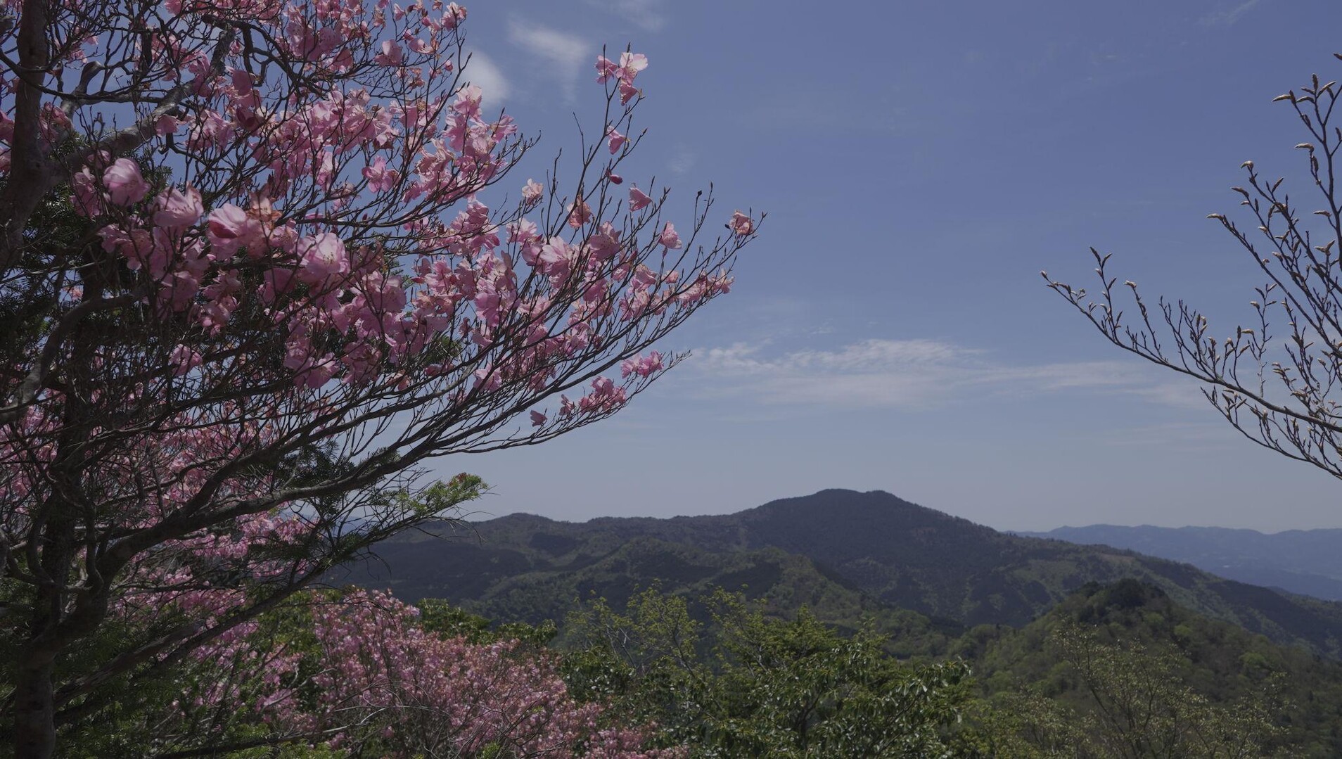 竜王山 / FRVさんの白髪山（奥白髪山）・工石山（奥工石山）の活動データ | YAMAP / ヤマップ