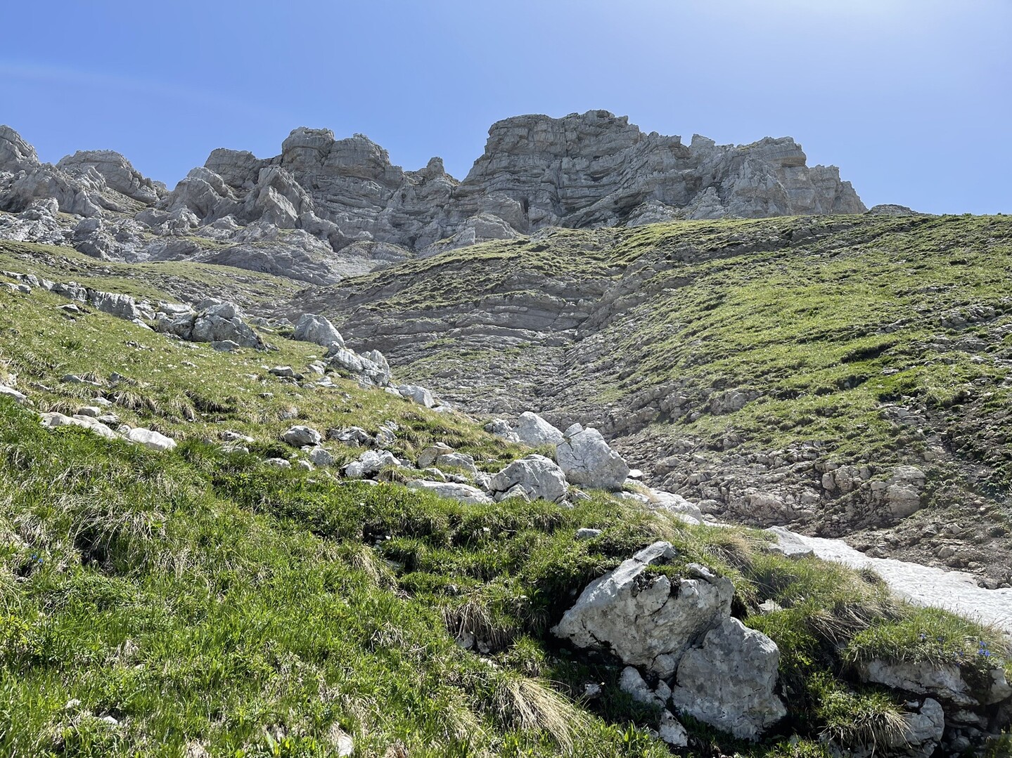🇫🇷La Tournette-2022-06-04 / natsuさんの登山の活動データ | YAMAP / ヤマップ