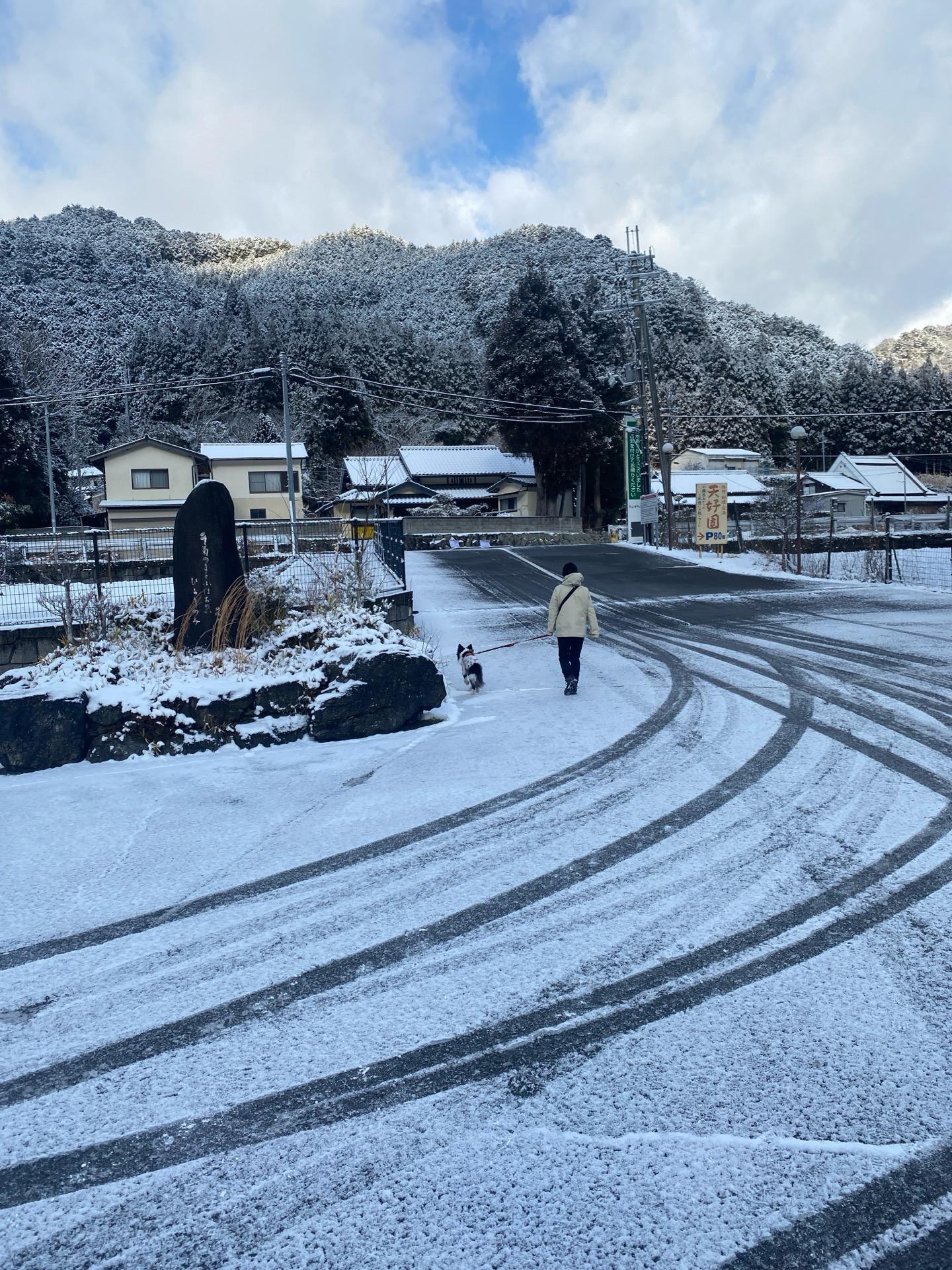 高見山 trek the dog / tetsuyasammyさんの高見山・黒石山・天狗山の活動データ | YAMAP / ヤマップ