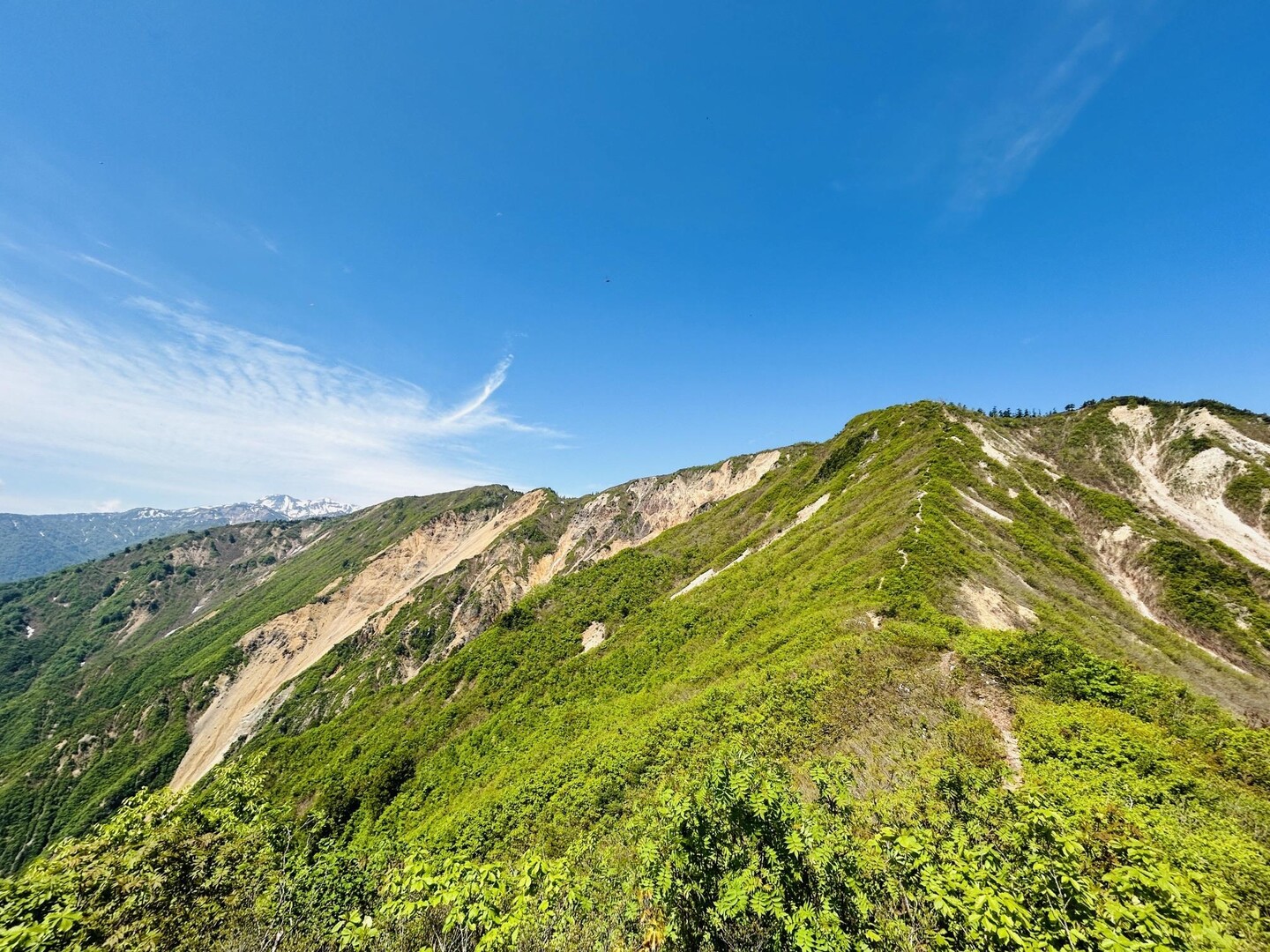 赤頭山・野谷荘司山・馬狩荘司山・三方岩岳 / edaさんの三方岩岳・妙法山の活動データ | YAMAP / ヤマップ