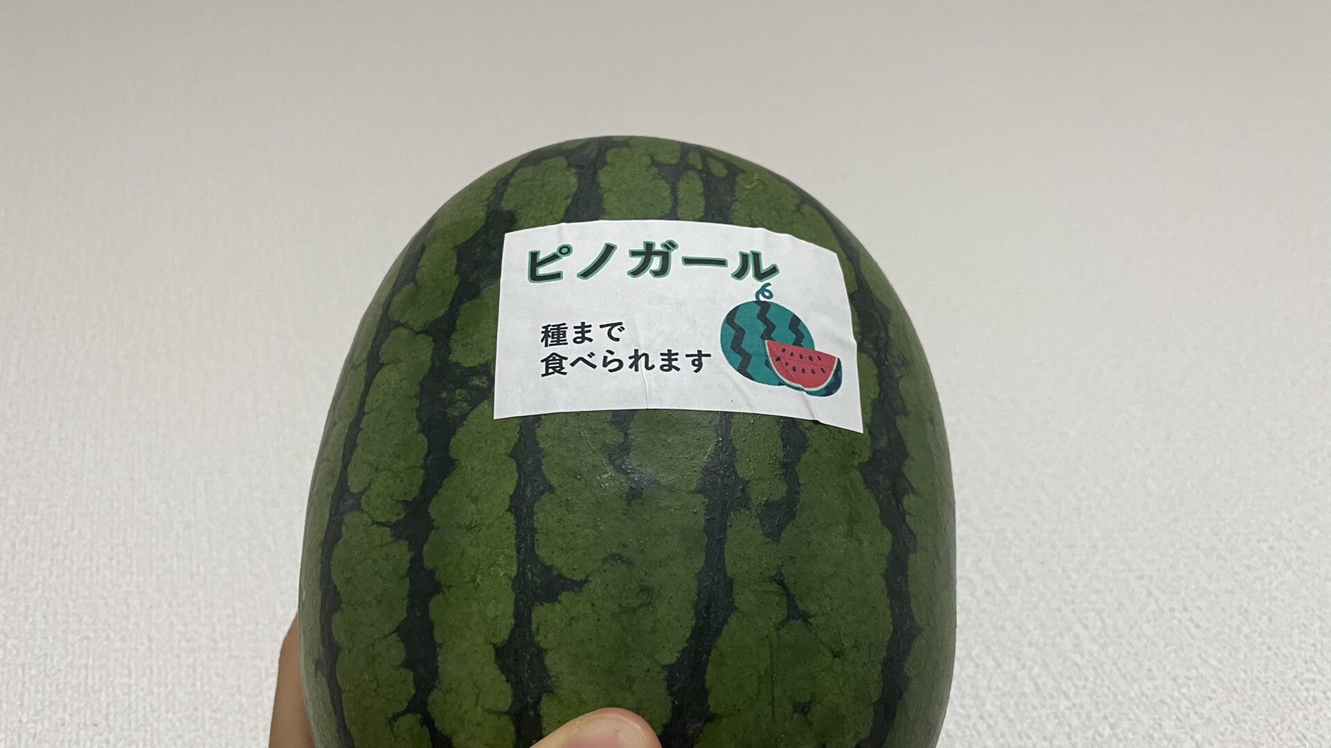 種まで食べられるスイカGET！ 山で種の... / 山旅人TAKUさんのモーメント | YAMAP / ヤマップ