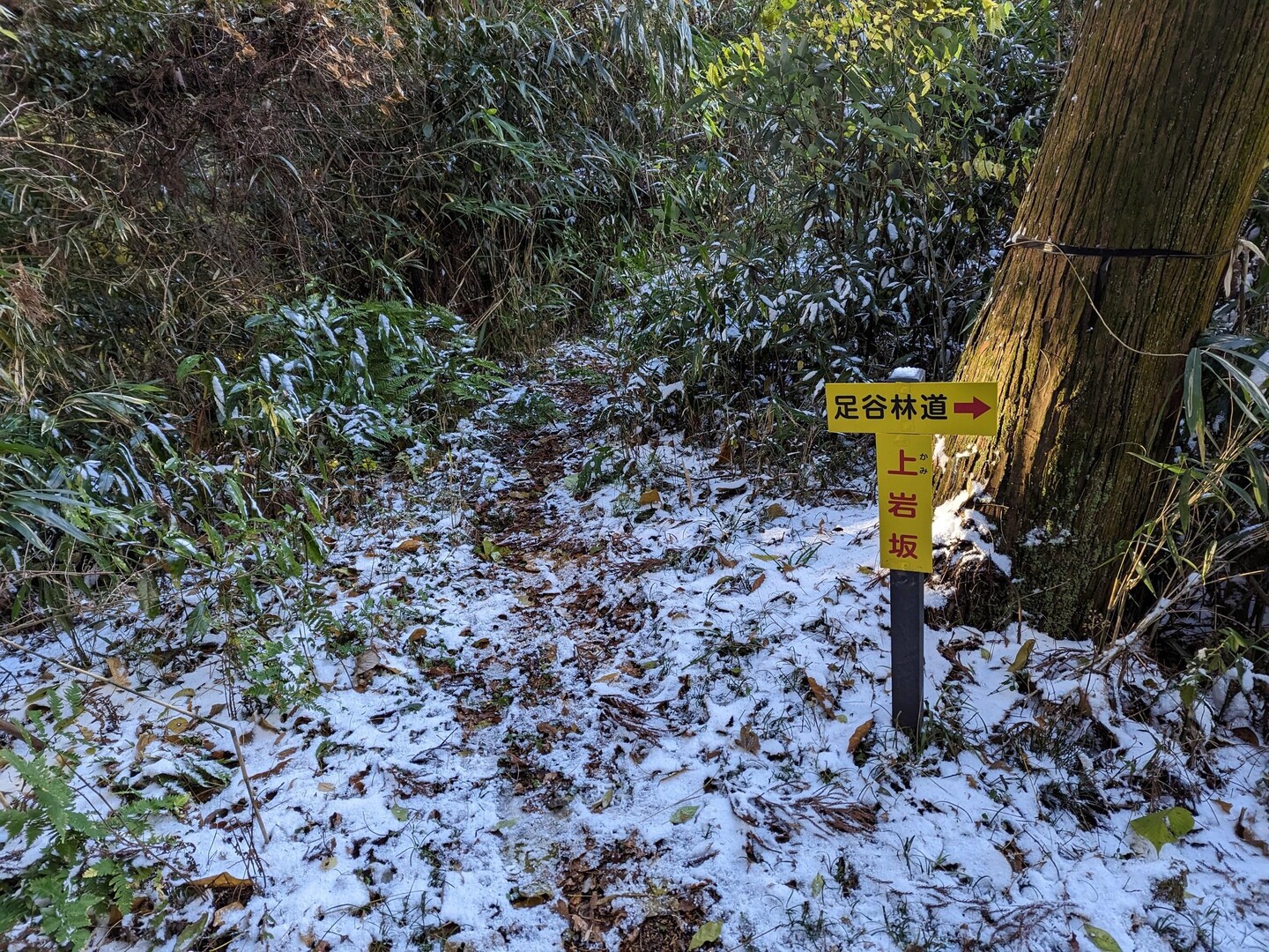 ひゃくはちじゅうさんの投稿したフィールドメモ | YAMAP / ヤマップ