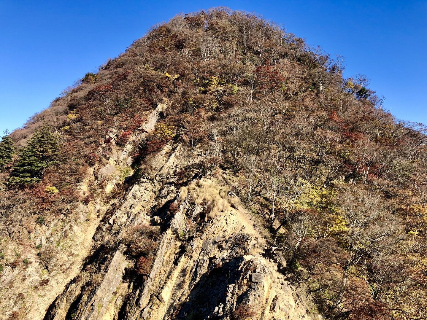 釈迦ヶ岳🍁猫岳🍁羽鳥峰 / Nandoさんの釈迦ヶ岳の活動データ | YAMAP / ヤマップ