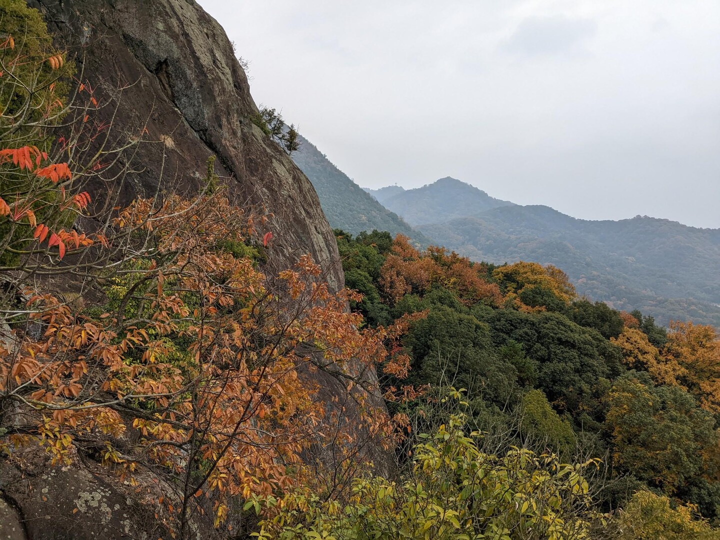 龍王宮・堂山・堂山北嶺・六ッ目山・伽藍山・万灯山（狭箱山） / h3さんの高松市の活動データ | YAMAP / ヤマップ