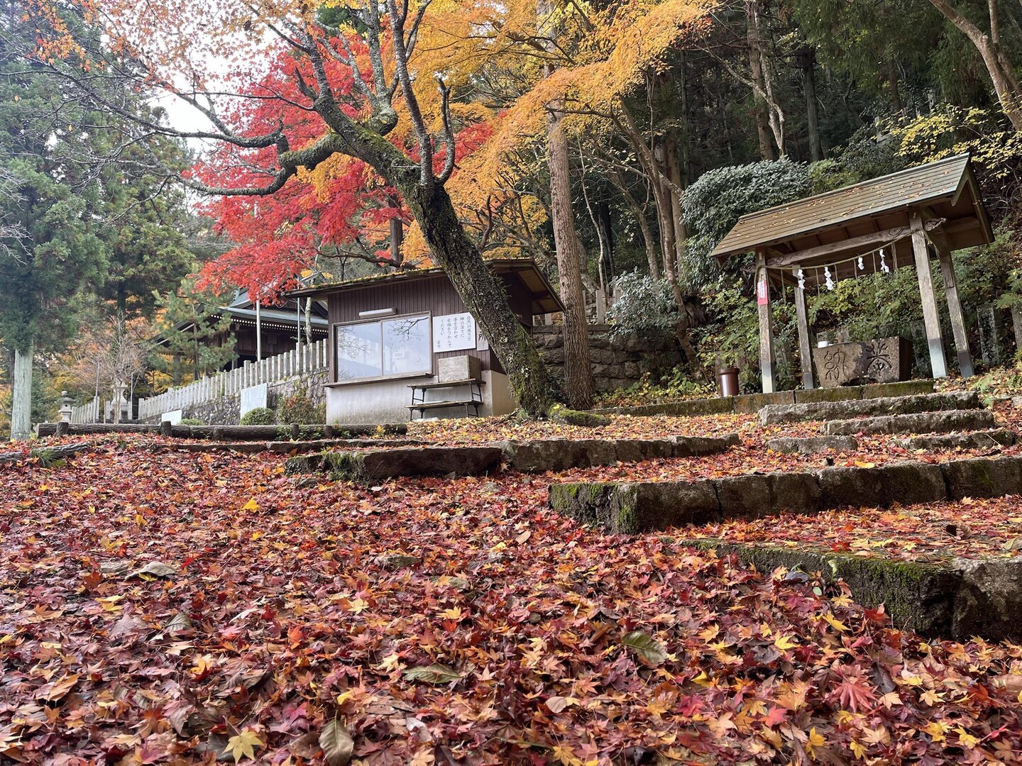 六甲最高 / ikkoさんの六甲山・長峰山・摩耶山の活動データ | YAMAP / ヤマップ